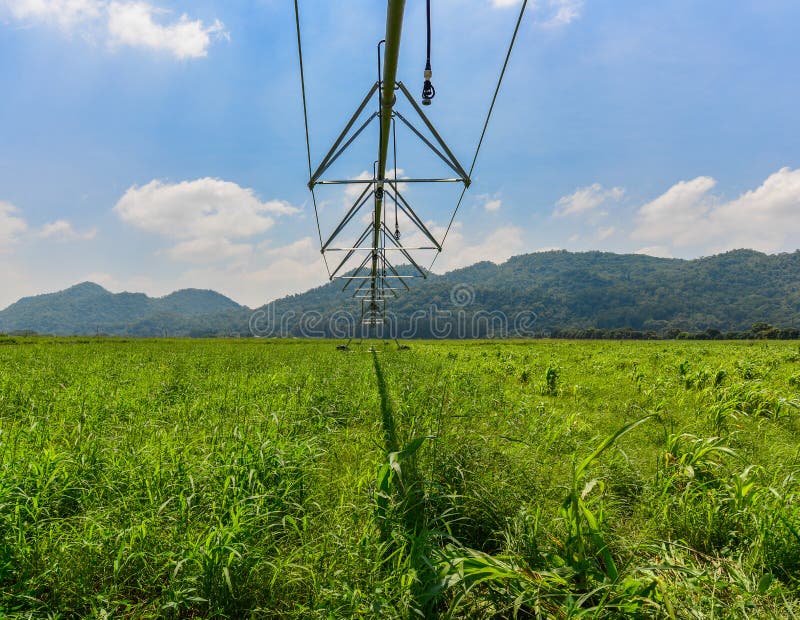 Lateral Irrigation Photos - Free & Royalty-Free Stock Photos from ...