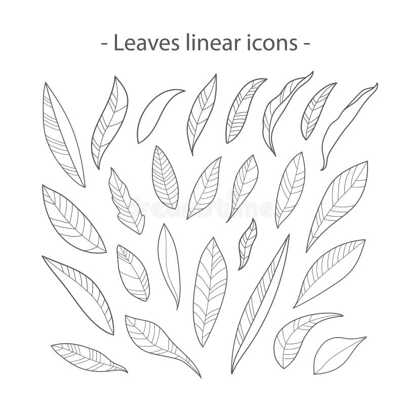 Linear Leaf Icons. a Set of Contour Icons of Various Leaves. Elements ...