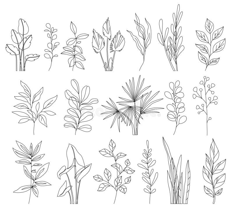 Linear Leaves and Branches Editable Stroke Stock Vector - Illustration ...