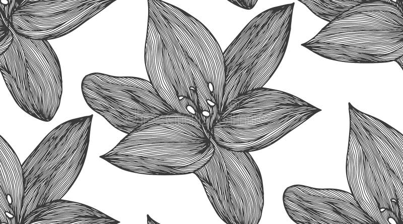 Floral Vector Background Black and White. Linear Lily Flower Line ...