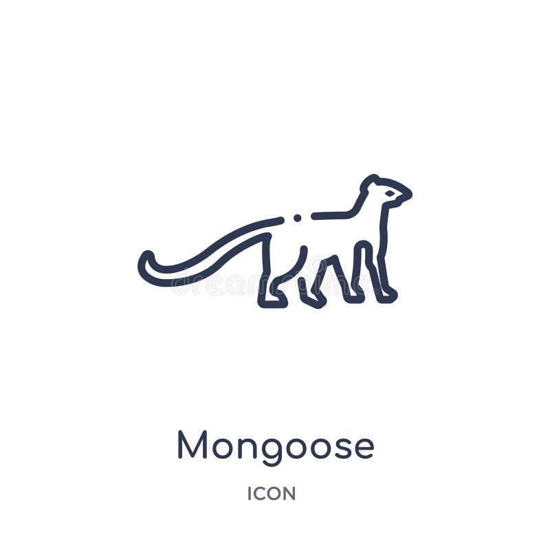 Linear Mongoose Icon from Animals and Wildlife Outline Collection. Thin ...