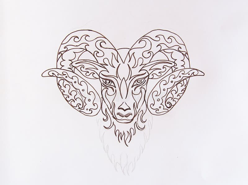 Ornamental Drawing of Aries, Sacred Animal Symbol. Stock Photo - Image ...