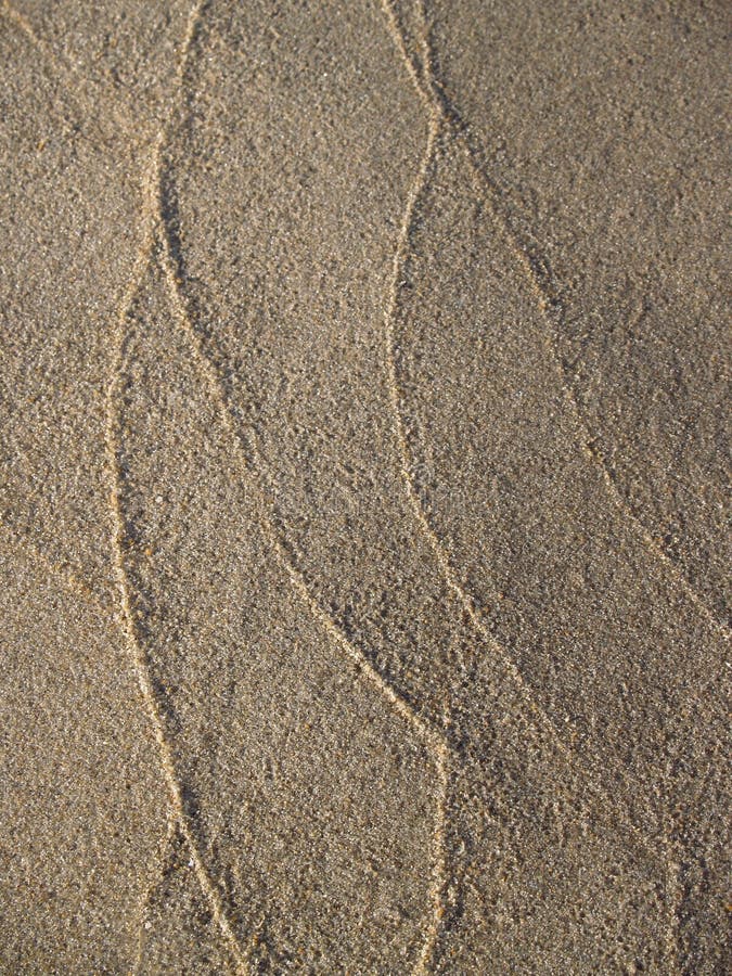 Linear Patterns in Sand, Low Tide Stock Image - Image of seashore ...