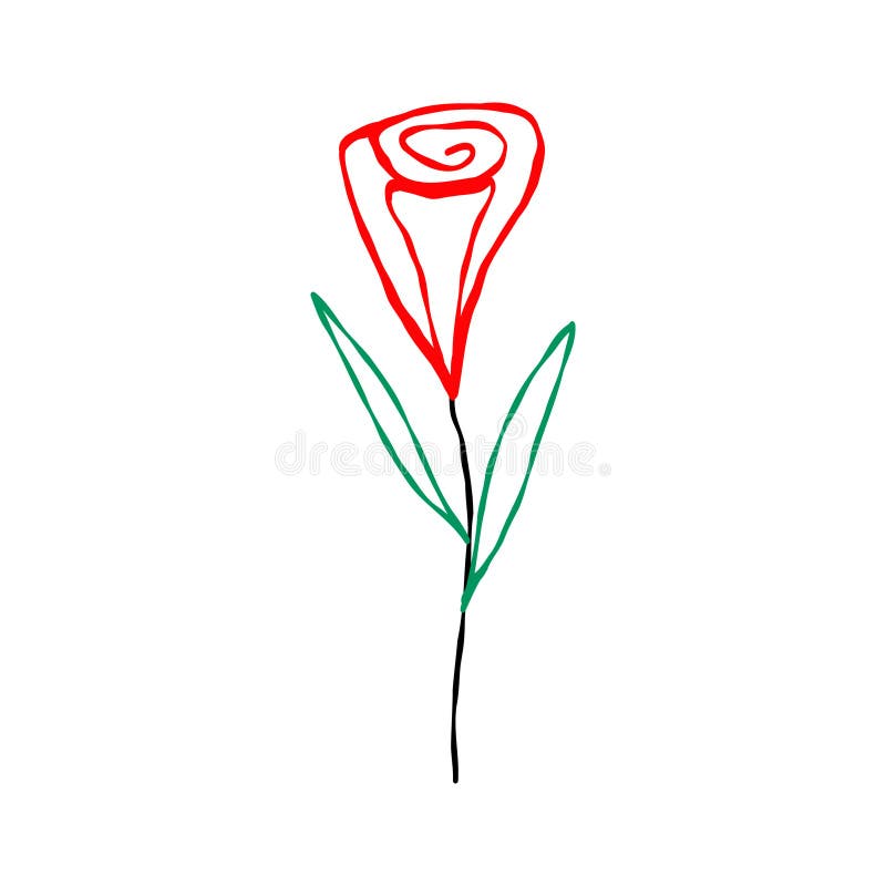 Linear Red Rose. Illustration in Modern Doodle Style Stock Vector ...