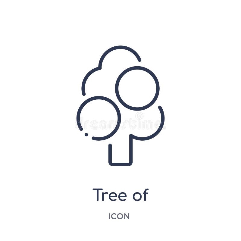 Linear Tree with Many Leaves Icon from Ecology Outline Collection. Thin ...