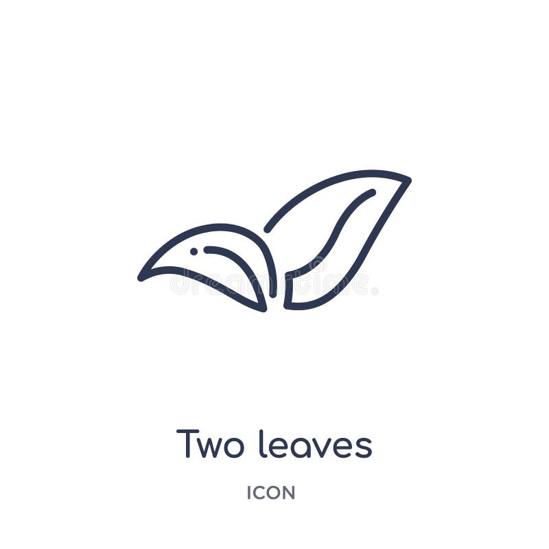 Linear Two Leaves Icon from Ecology Outline Collection. Thin Line Two ...
