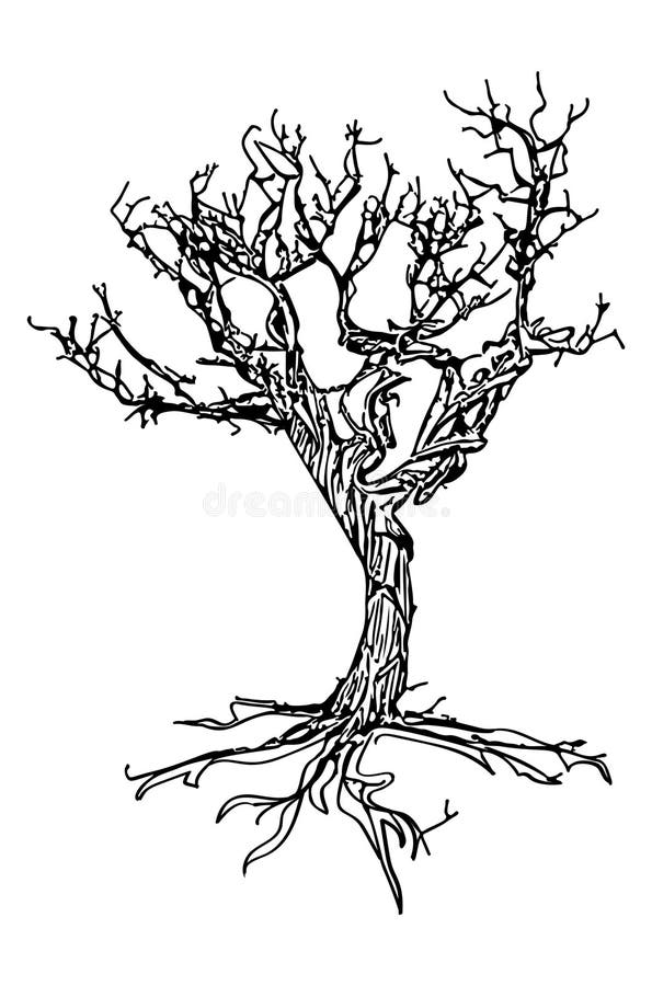 Lineart abstract tree stock vector. Illustration of contour - 276973412