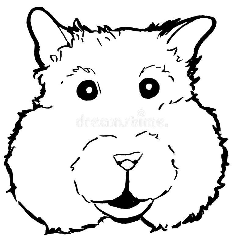 Hamster Line Drawing Stock Photos - Free & Royalty-Free Stock Photos ...