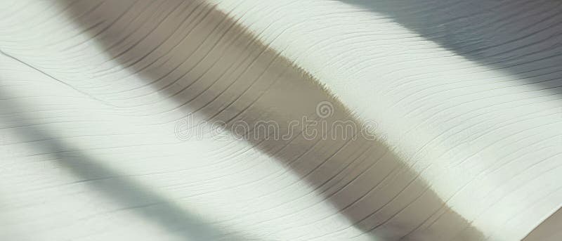 Lined Paper Background with Folded Corner Creating a Clear Space for ...