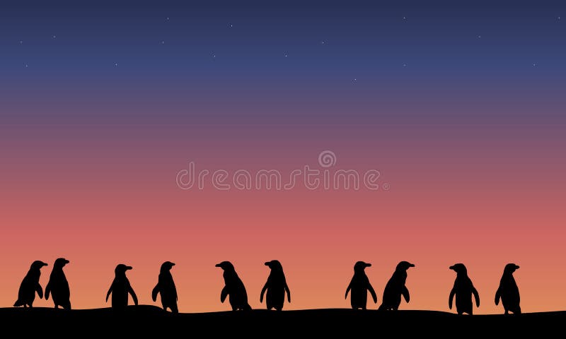 Lined Penguin Silhouette at Night Landscape Stock Vector - Illustration ...