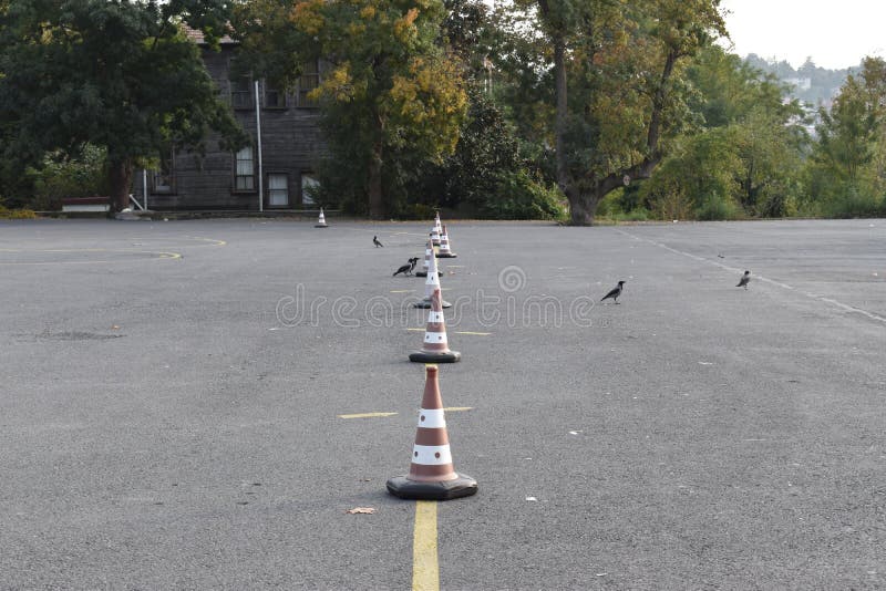 Lined Up on the Road.test Track Stock Photo - Image of tree, racecourse ...