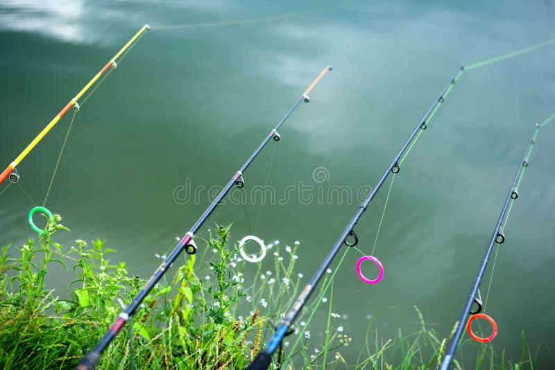 Lined up rods stock image. Image of angling, equipment - 23940917