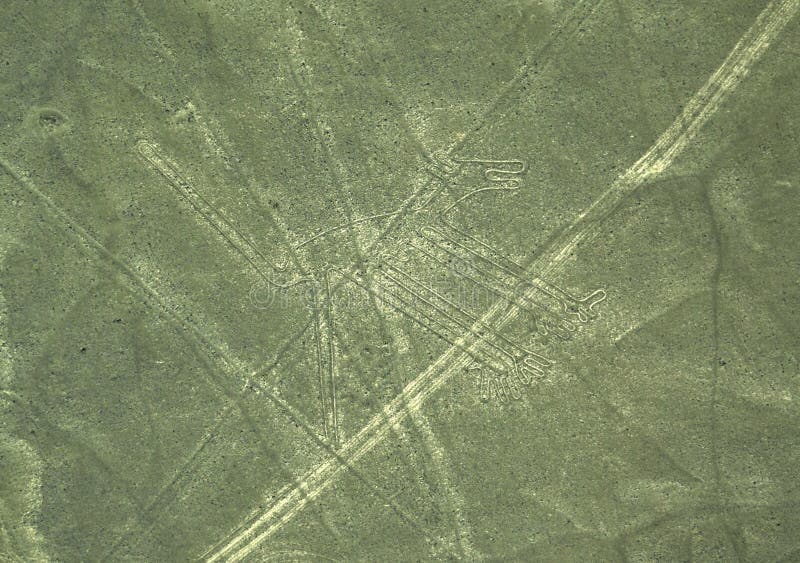 Linee di Nazca: Il cane fotografia stock. Immagine di riga - 89592014