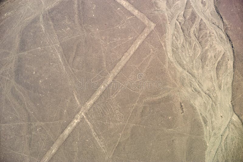 Linee di Nazca - la balena immagine stock. Immagine di peruviano - 58162679