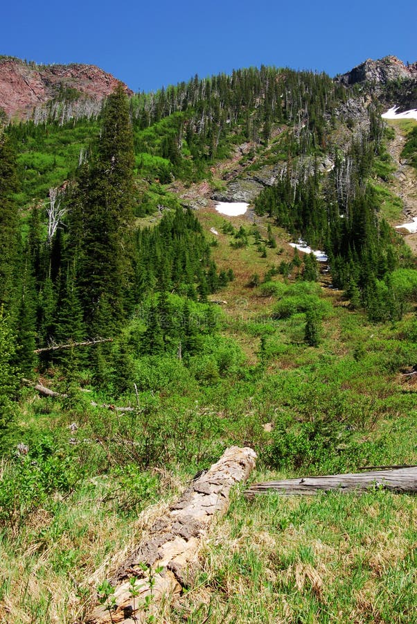 Lineham Stock Photos - Free & Royalty-Free Stock Photos from Dreamstime