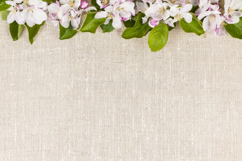 Linen fabric texture stock photo. Image of organic, backdrop - 2125572