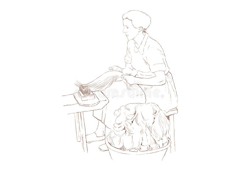 Linen Fibers Stock Illustrations – 324 Linen Fibers Stock Illustrations ...