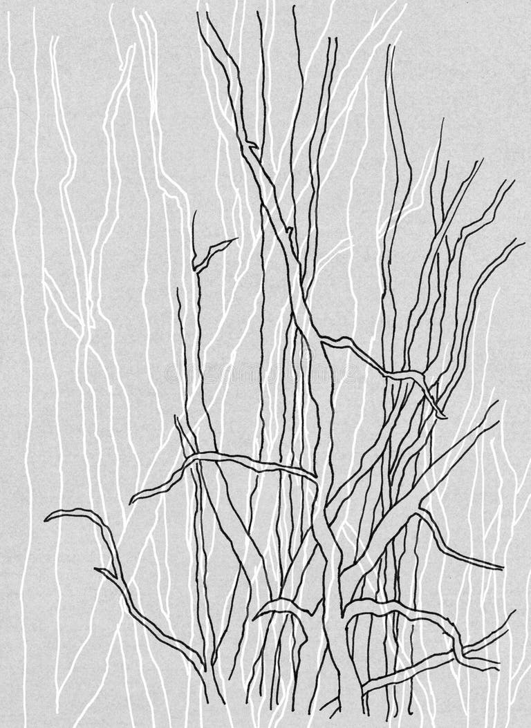 Organic Flowing Patterns Stock Illustrations – 19,558 Organic Flowing ...