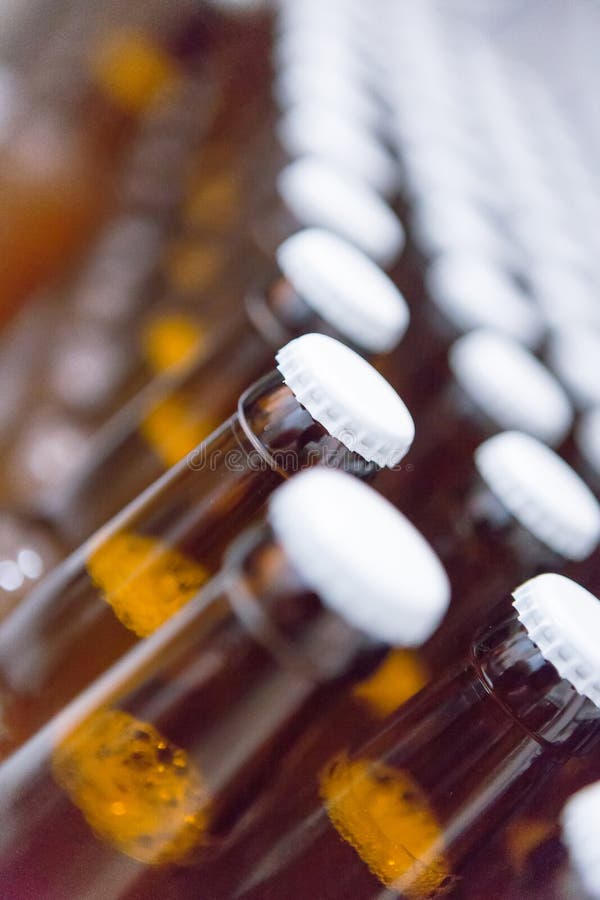 Lines of beer bottles stock photo. Image of lines, brewery - 68313914