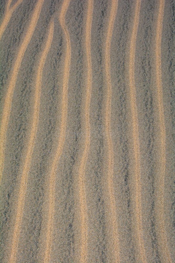 Lines in the desert sand stock photo. Image of drought - 295431070