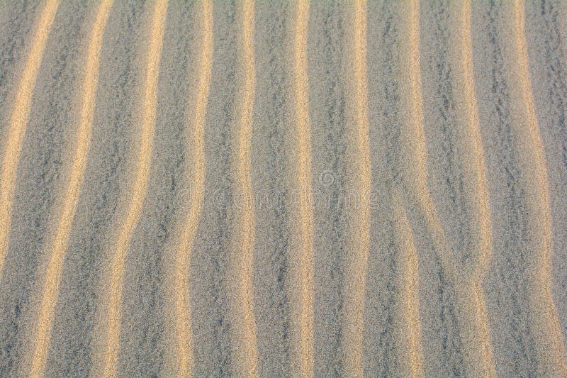 Lines in the desert sand stock photo. Image of spain - 296663558