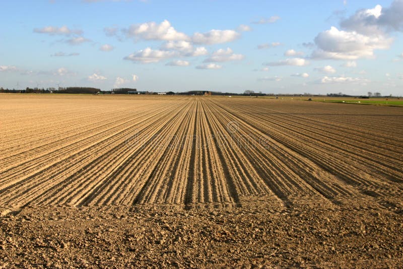 Green lines stock photo. Image of field, nature, landscape - 444660