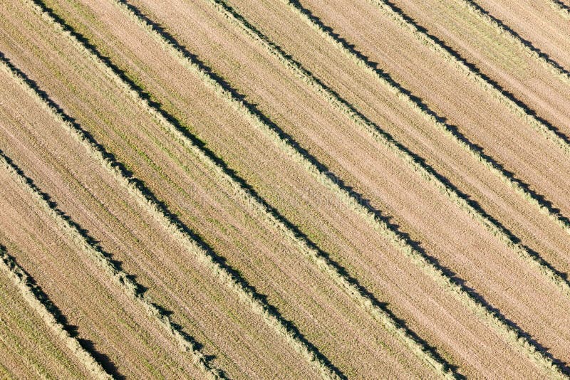 Lines in the field stock image. Image of agriculture - 25749863