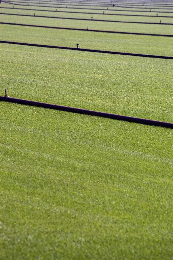 Water Reticulation Stock Photos - Free & Royalty-Free Stock Photos from ...