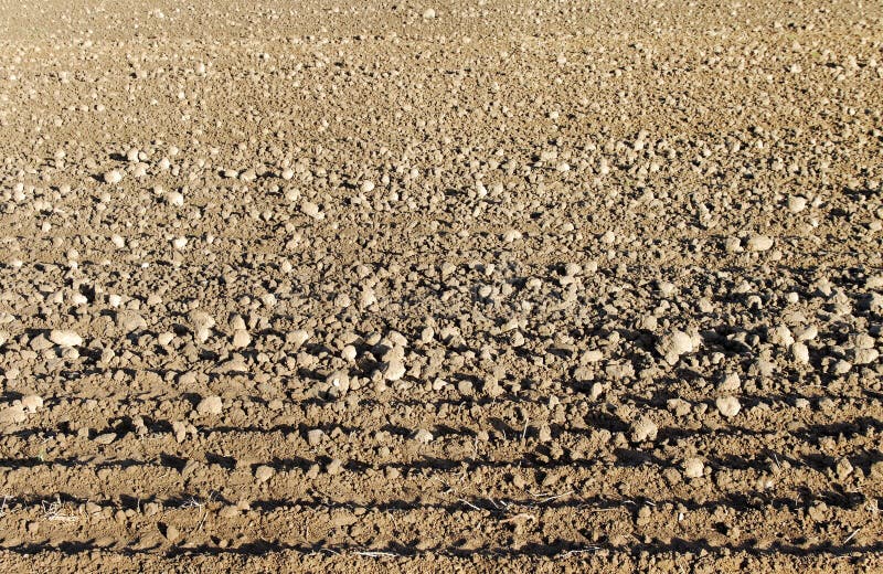 Lines on the land. stock image. Image of weather, level - 21562391