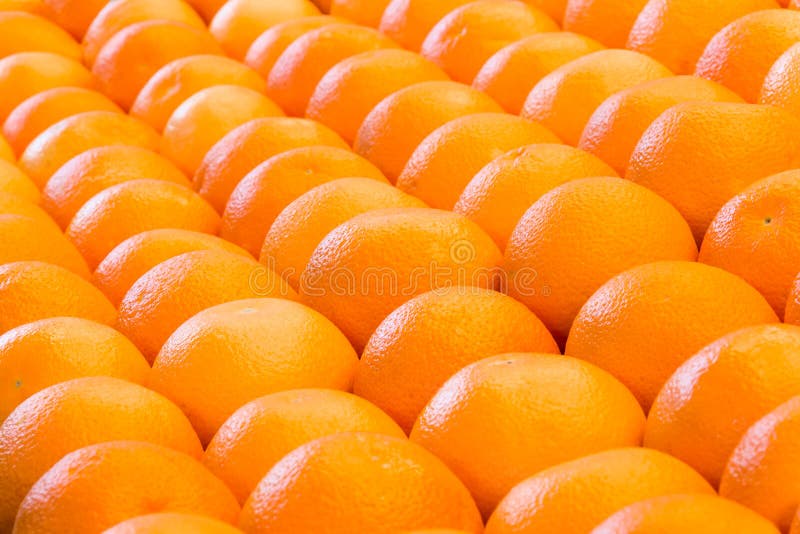 Lines of Many Oranges in Rows Stock Photo - Image of natural ...