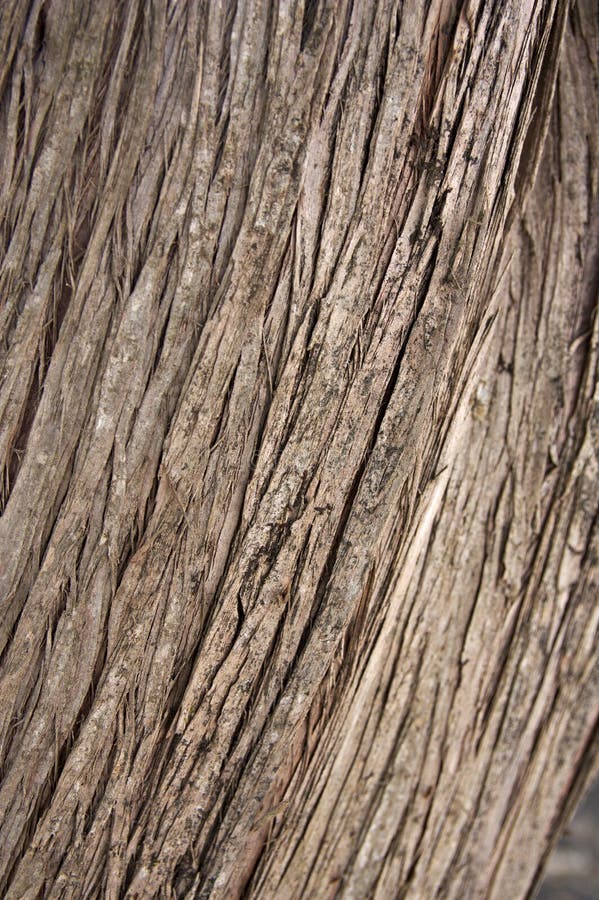 Weathered Pine Wood Pallets Stacked in the Field Stock Image - Image of ...