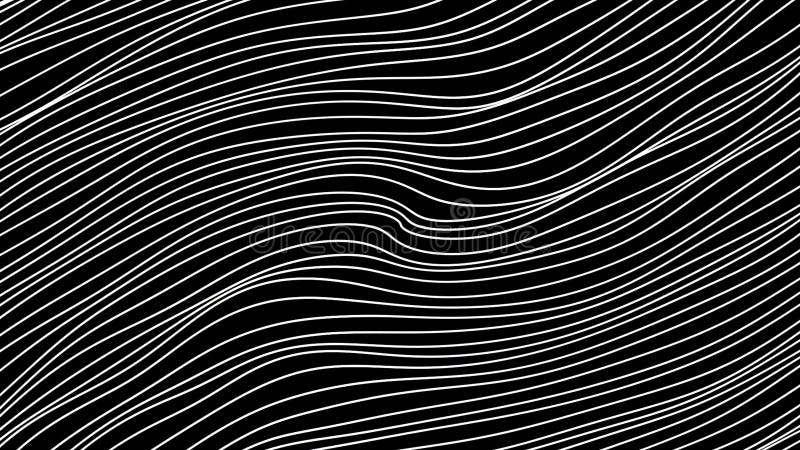 Lines Move Slowly in Waves on Black Background. Motion. Thin Lines Move ...