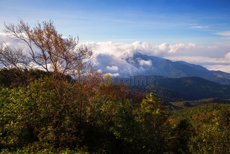 The Lines and Pattern Mountains of Rain Forest a Space Nature ...