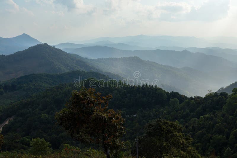 The Lines and Pattern Mountains of Rain Forest a Space Nature ...