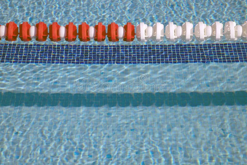Lines in the pool stock photo. Image of water, competition - 203202988