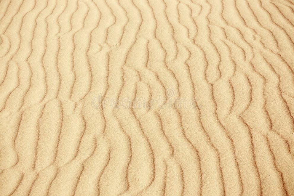 Lines in the Sand of a Beach Stock Image - Image of arid, leisure: 92494991