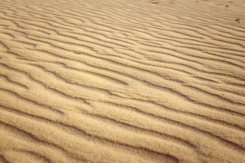 Lines in the Sand of a Beach Stock Image - Image of grande, coastline ...