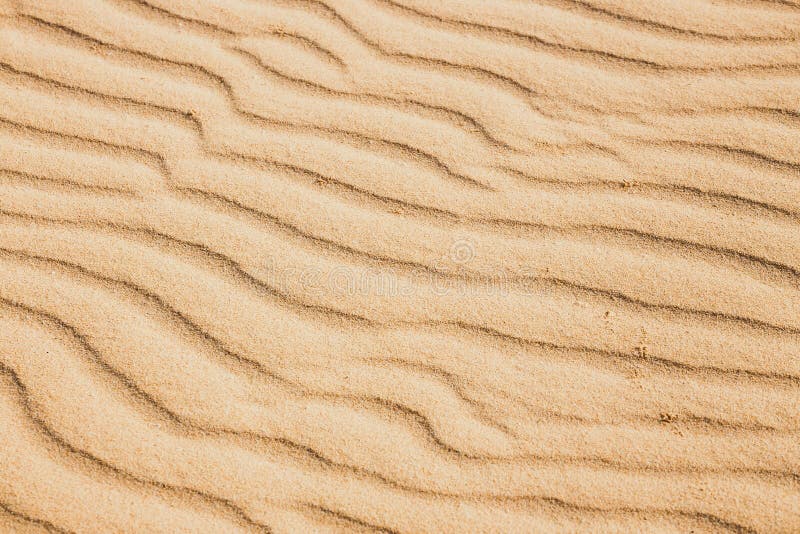 Lines in the Sand of a Beach Stock Image - Image of ocean, recreation ...