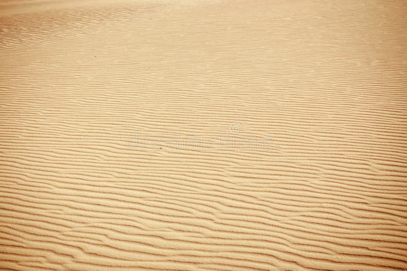 Lines in the Sand of a Beach Stock Photo - Image of ecology, design ...