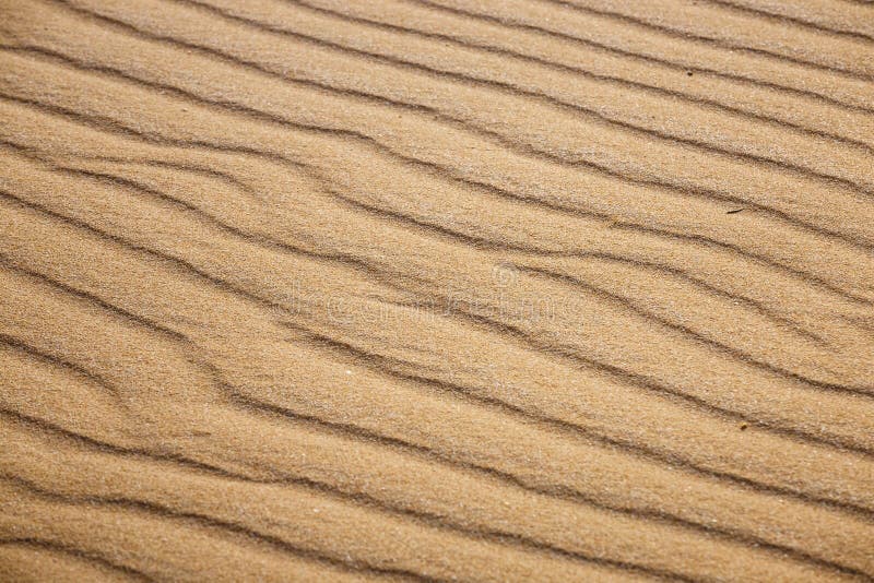 Lines in the Sand of a Beach Stock Photo - Image of sandy, holiday ...