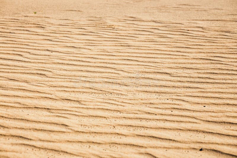 Lines in the Sand of a Beach Stock Image - Image of fuerteventura ...