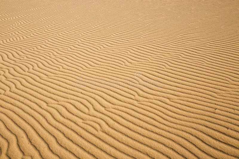 Lines in the Sand of a Beach Stock Image - Image of grande, design ...