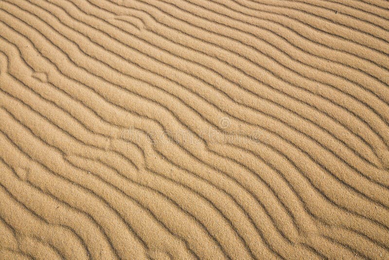 Lines in the Sand of a Beach Stock Image - Image of pattern, closeup ...