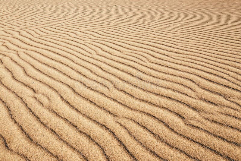 Lines in the Sand of a Beach Stock Photo - Image of fuerteventura ...