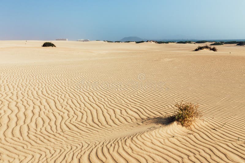 Lines in the Sand of a Beach Stock Image - Image of beautiful, relax ...