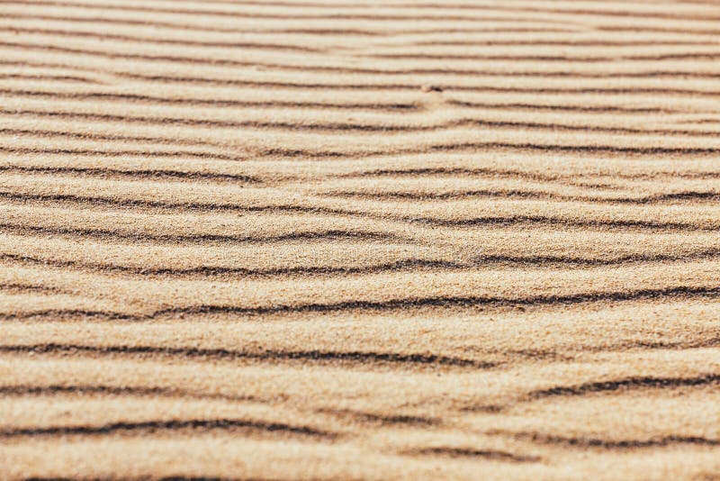 Lines in the Sand of a Beach Stock Image - Image of dune, recreation ...