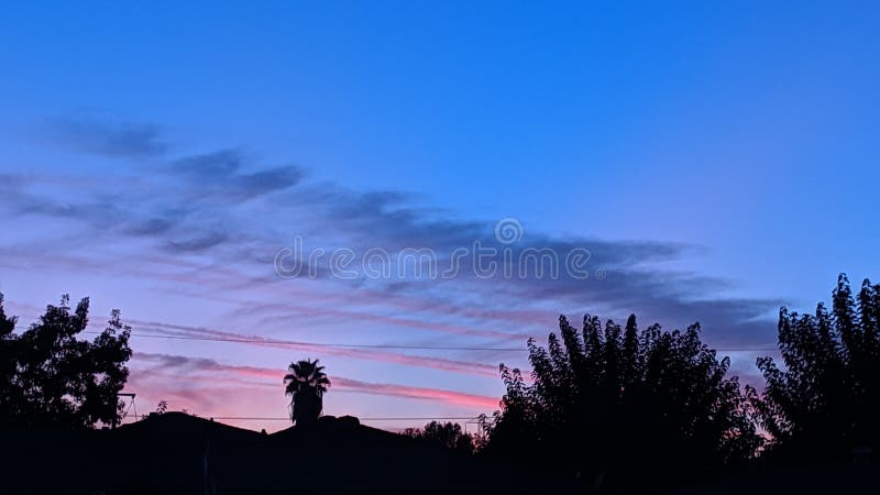 Lines in the sky stock photo. Image of clouds, palm - 160068768