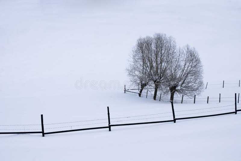 Lines in the snow stock photo. Image of beauty, landscape - 8423128
