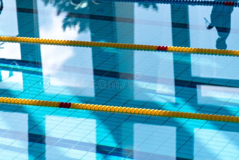 Lines in a swimming pool stock photo. Image of training - 246356856