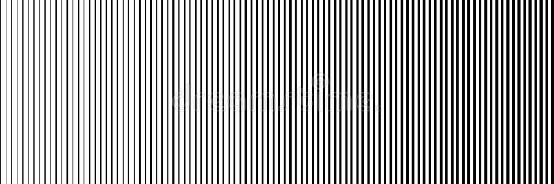 Stripes.Lines from Thin To Thick.straight, Parallel Vertical. Stock ...